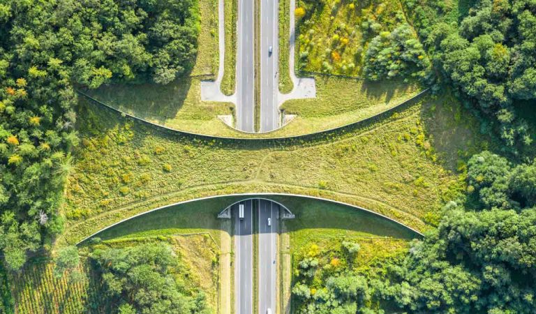 An Overview of the World’s Most Popular Bridge Designs