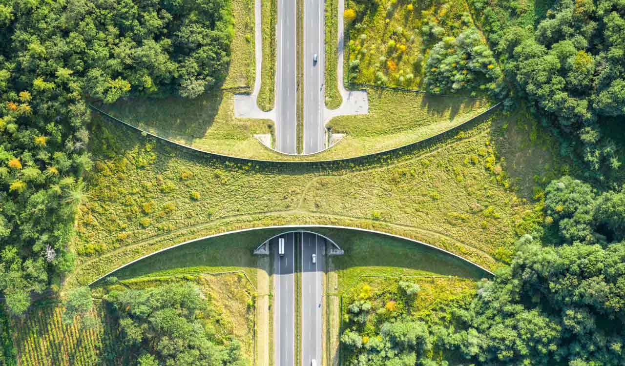 An Overview of the World’s Most Popular Bridge Designs